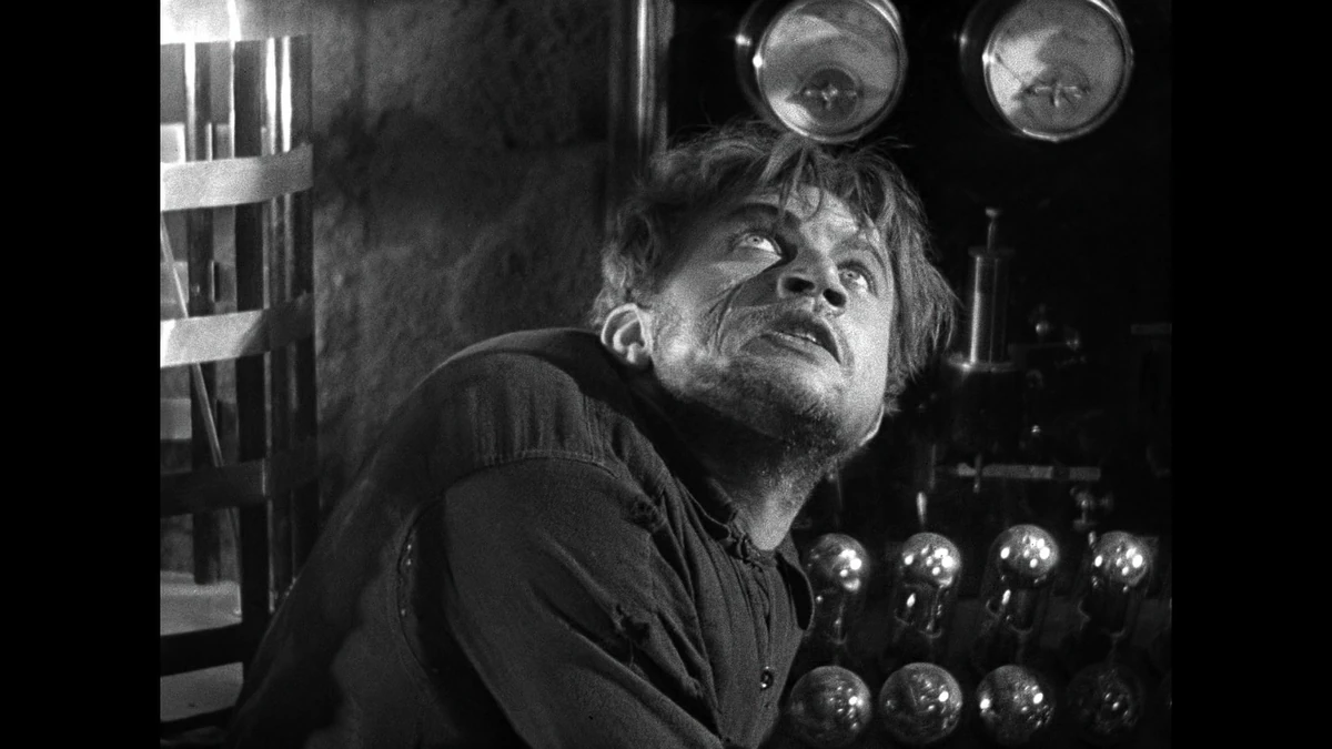 Igor | Ryan McCleary's World Brightestapedia Wiki | Fandom