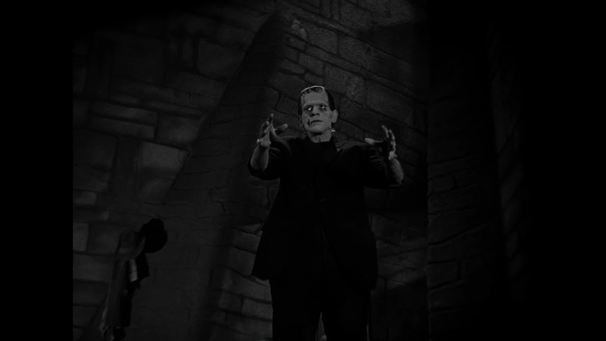 Frankenstein | Ryan McCleary's World Brightestapedia Wiki | Fandom