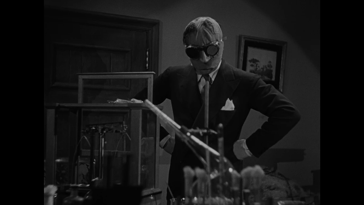 Invisible Man | Ryan McCleary's World Brightestapedia Wiki | Fandom