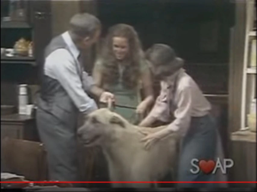 Siobhan Ryan | Ryan's Hope (1975-1989) Wiki | Fandom