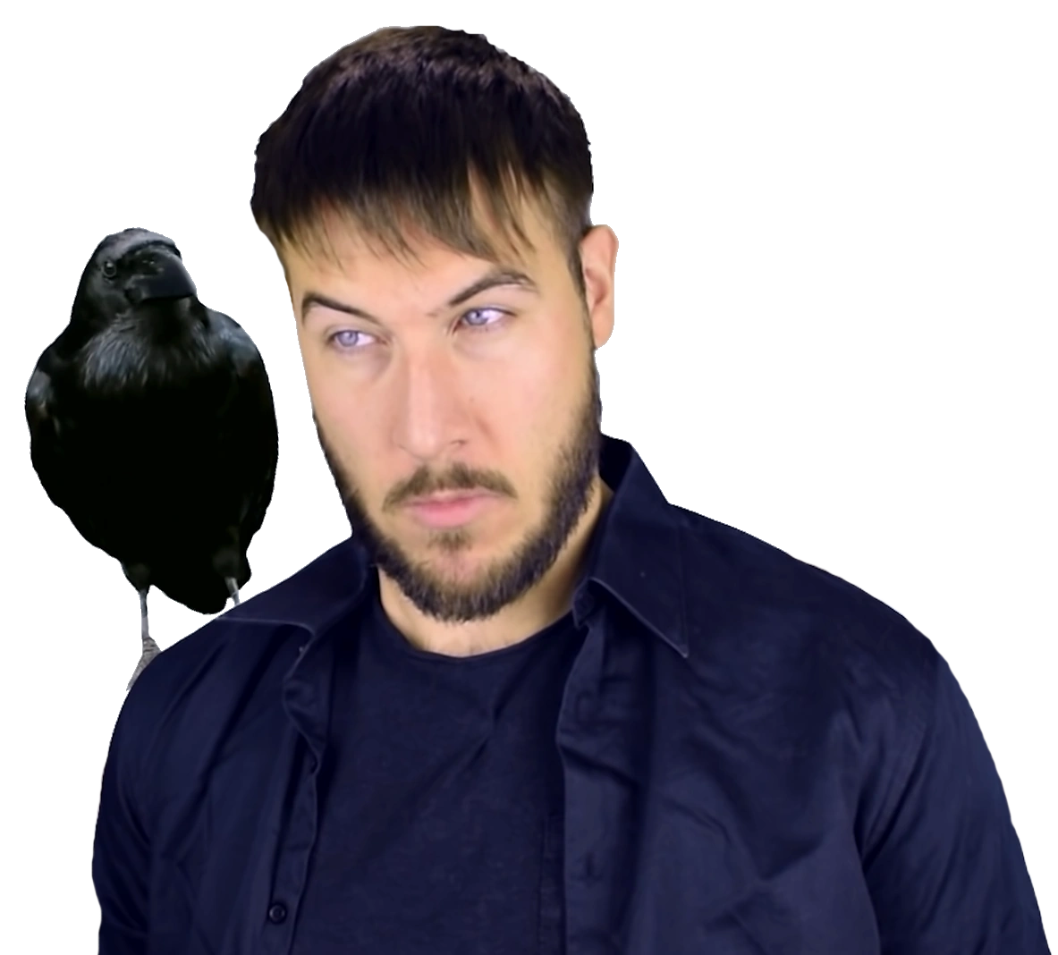 Rufus | Ryan George Wiki | Fandom