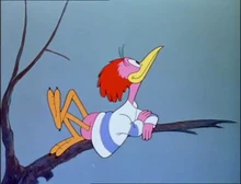 Aracuan Bird | Ryan's Funny Parts Wikia | Fandom