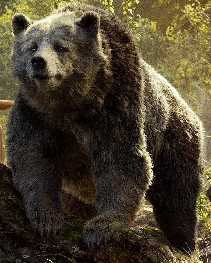 Baloo | Ryan's Funny Parts Wikia | Fandom