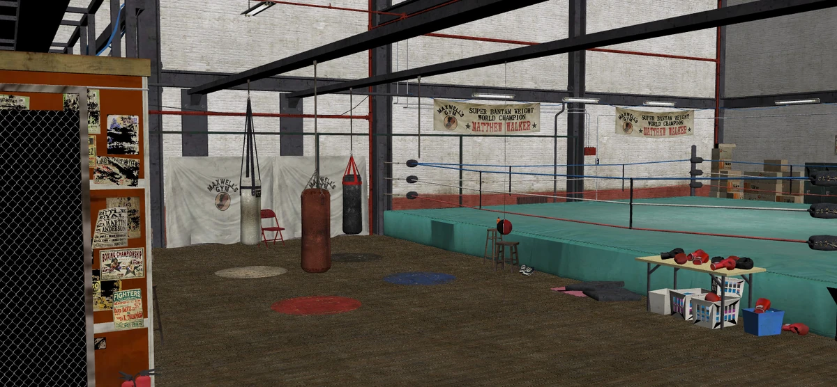 Maxwell's Gym | Ryne and Dal Wiki | Fandom