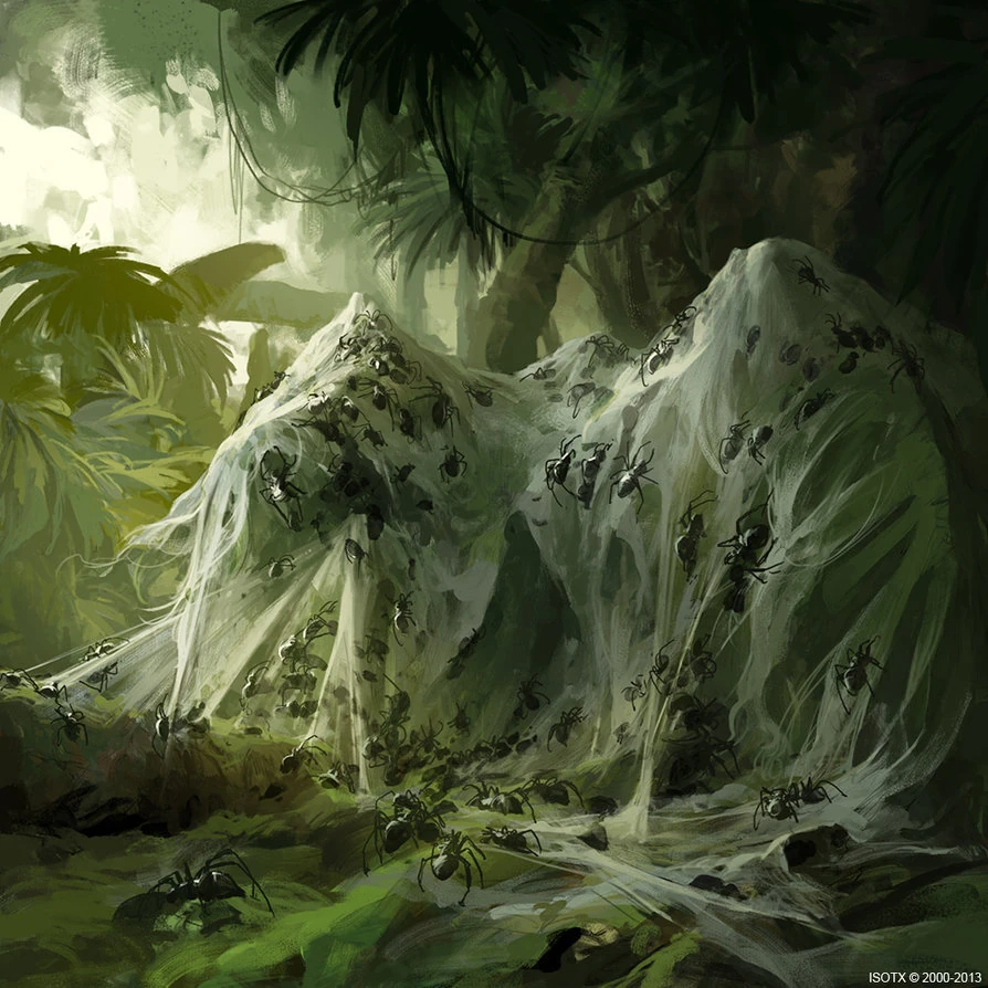 Spider Swarms | Rythiae Wiki | Fandom