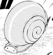 Slugzilla | S Rare Soubi no Niau Kanojo Wiki | Fandom