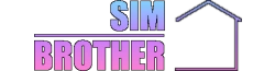 Sim Brother 2 | Sim Brother | Fandom