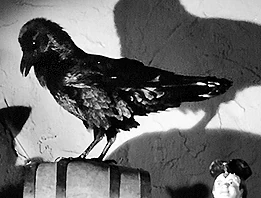 Charlie (Rabe) | Sherlock Holmes Wiki | Fandom