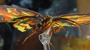 Mothra 2019 | S.H monsterarts Wiki | Fandom