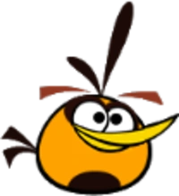 Category:SACE Contestants | SA418 Wiki | Fandom