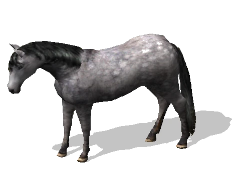 Sacred | Sacred Wiki | Fandom