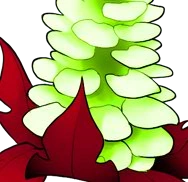 Bilak Plant (997) | Sacred Seasons 2 Wiki | Fandom