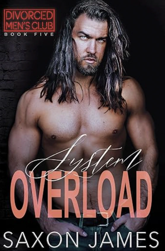 System Overload | SADENVERSE Wiki | Fandom