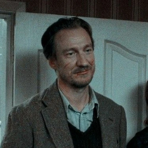 Remus Lupin (ToD) | Sadie's Harry Potter Fan-fiction Wiki | Fandom