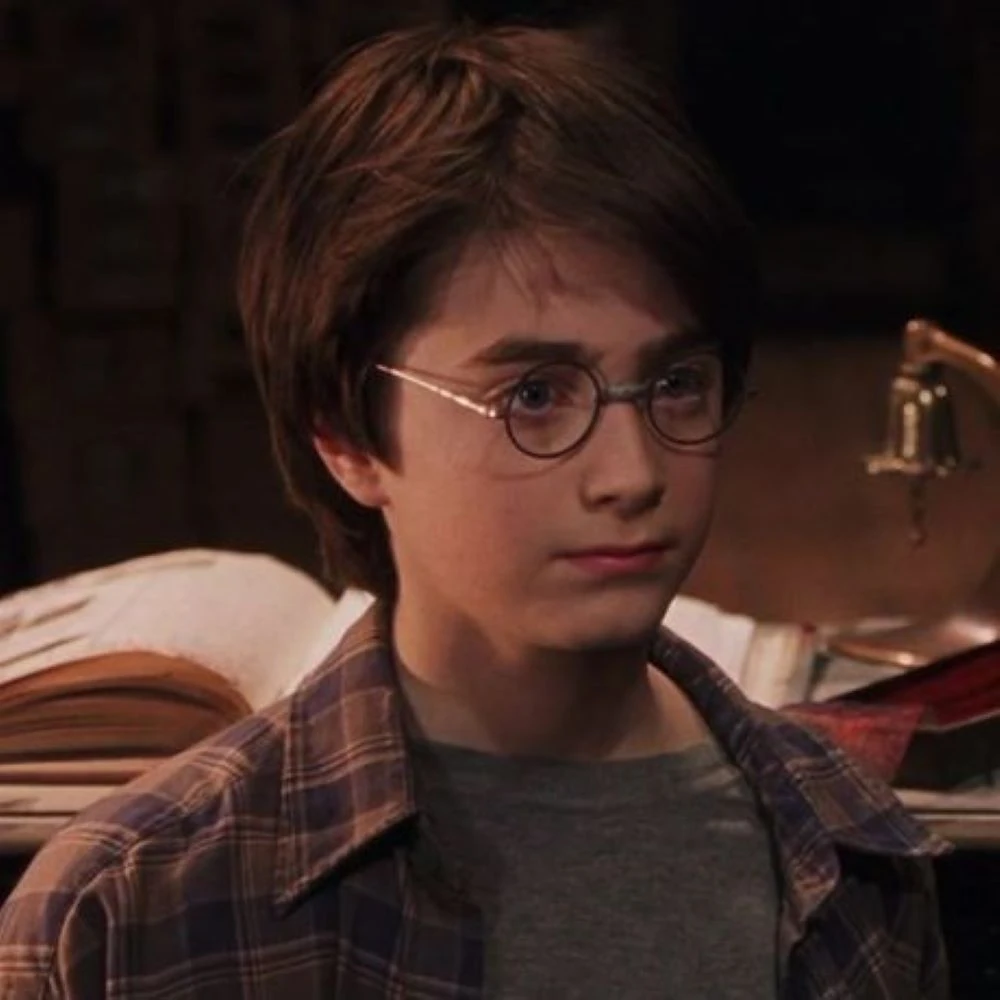 Harry Potter (The Hidden Twin) | Sadie's Harry Potter Fan-fiction Wiki ...