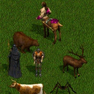 Saga: Rage of the Vikings Wiki | Fandom
