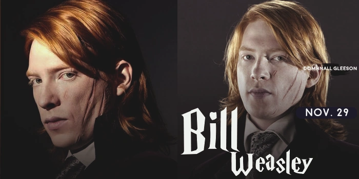 BILL WEASLEY | Saga de harry potter community | Fandom