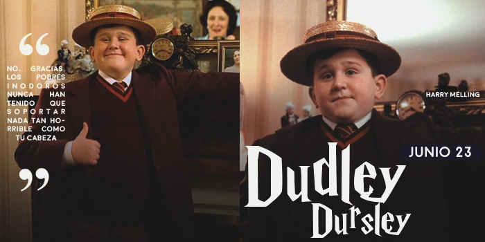 DUDLEY DURSLEY | Saga de harry potter community | Fandom