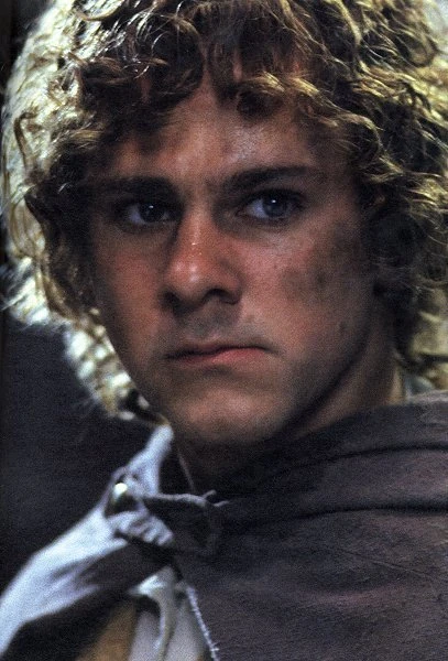 Meriadoc Vinbock | Saganomringen Wiki | Fandom