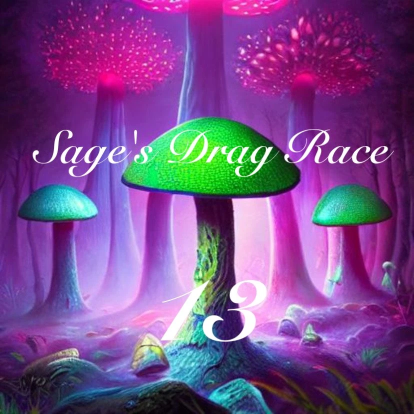 Sage's Drag Race (Season 13) | Sage's Drag Race Wiki | Fandom