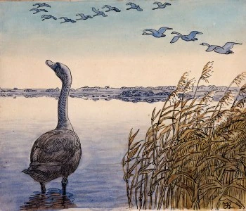 Den Grimme Ælling | Sagn og Eventyr Wikia | Fandom