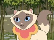 Sagwa Miao | Sagwa Wiki | Fandom