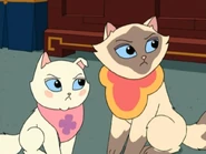 Sheegwa Miao | Sagwa Wiki | Fandom