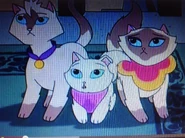 Dongwa Miao | Sagwa Wiki | Fandom