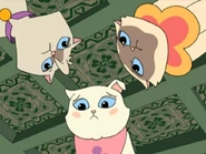 Sheegwa Miao | Sagwa Wiki | Fandom