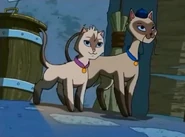 Dongwa Miao | Sagwa Wiki | Fandom