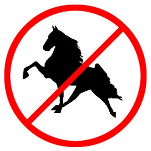 Horse | Sahul Wiki | Fandom