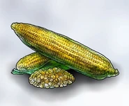 Sailing Era Wiki | Fandom