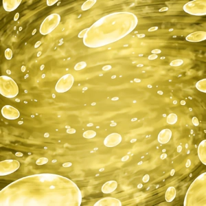 Kin Kin no Mi | Sail of Fools Wiki | Fandom