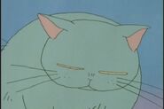 Rhett Butler | Sailor Moon Wiki | Fandom