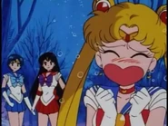 The Legendary Lake Yokai: The Bond of Usagi's Family | Sailor Moon Wiki ...
