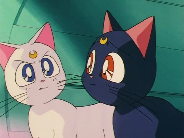 EP079 | Sailor Moon Wiki | Fandom