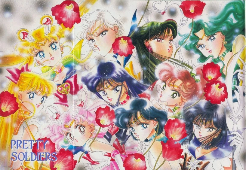 Sailor Guardians | Sailor Moon Wiki | Fandom