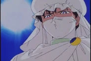 Moonlight Knight | Sailor Moon Wiki | Fandom