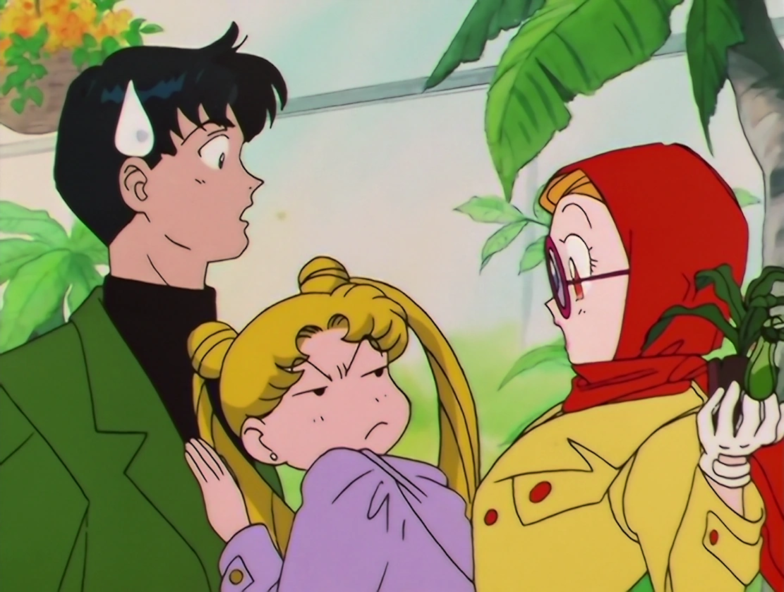EP116 | Sailor Moon Wiki | Fandom
