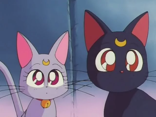 Juban Holiday: The Carefree Princess | Sailor Moon Wiki | Fandom