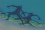 Castor and Pollux | Sailor Moon Wiki | Fandom