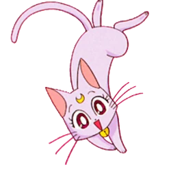 how to draw sailor moon cat