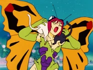 Papillon | Sailor Moon Wiki | Fandom