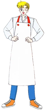 Sailor Moon Motoki Gy