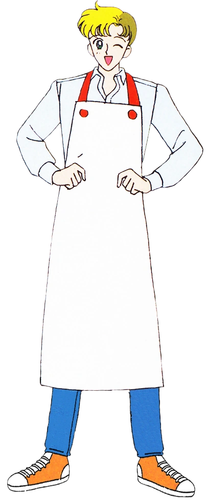 Motoki Furuhata (anime) | Sailor Moon Wiki | Fandom