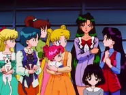 Countdown to Destruction: The Sailor Guardians' Last Battle | Sailor ...