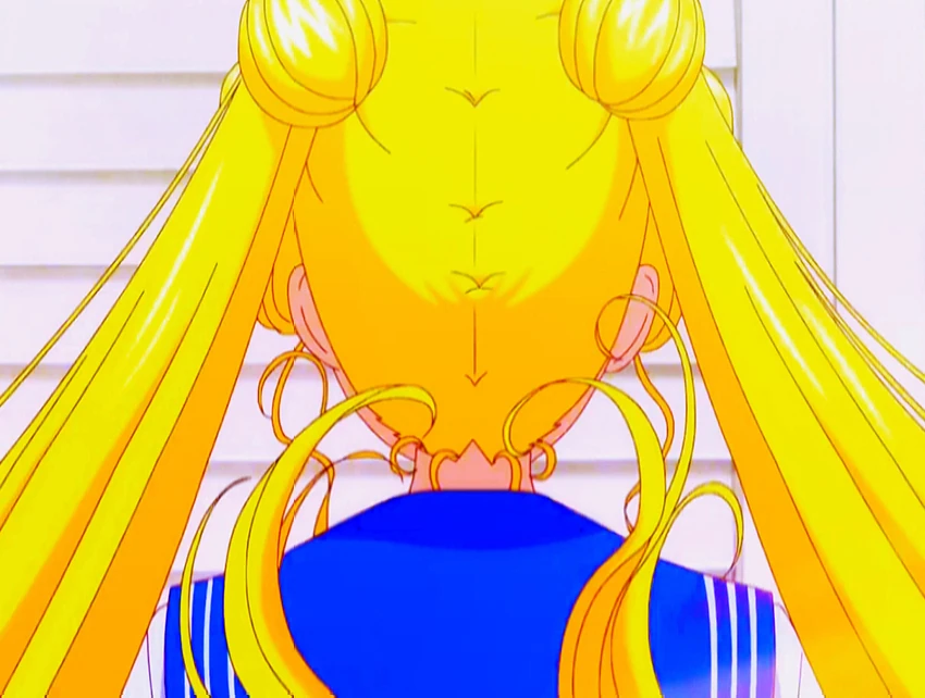 Odango | Sailor Moon Wiki | Fandom