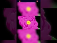 Sailor Moon Cosmos | Sailor Moon Wiki | Fandom