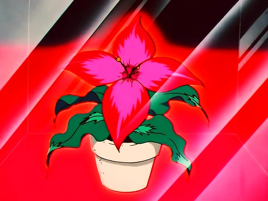 Tellun | Sailor Moon Wiki | Fandom