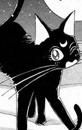 Luna (manga) | Sailor Moon Wiki | Fandom